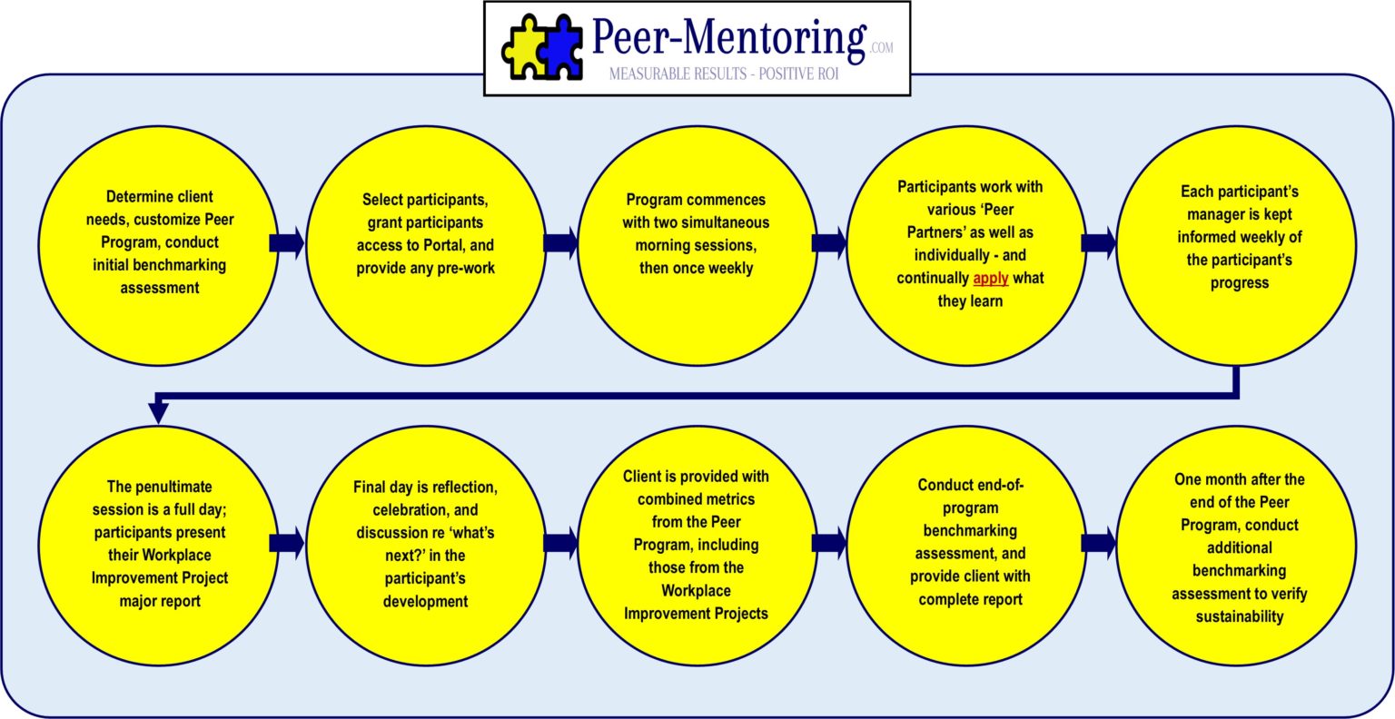 General Program Overview - www.Peer-Mentoring.com
